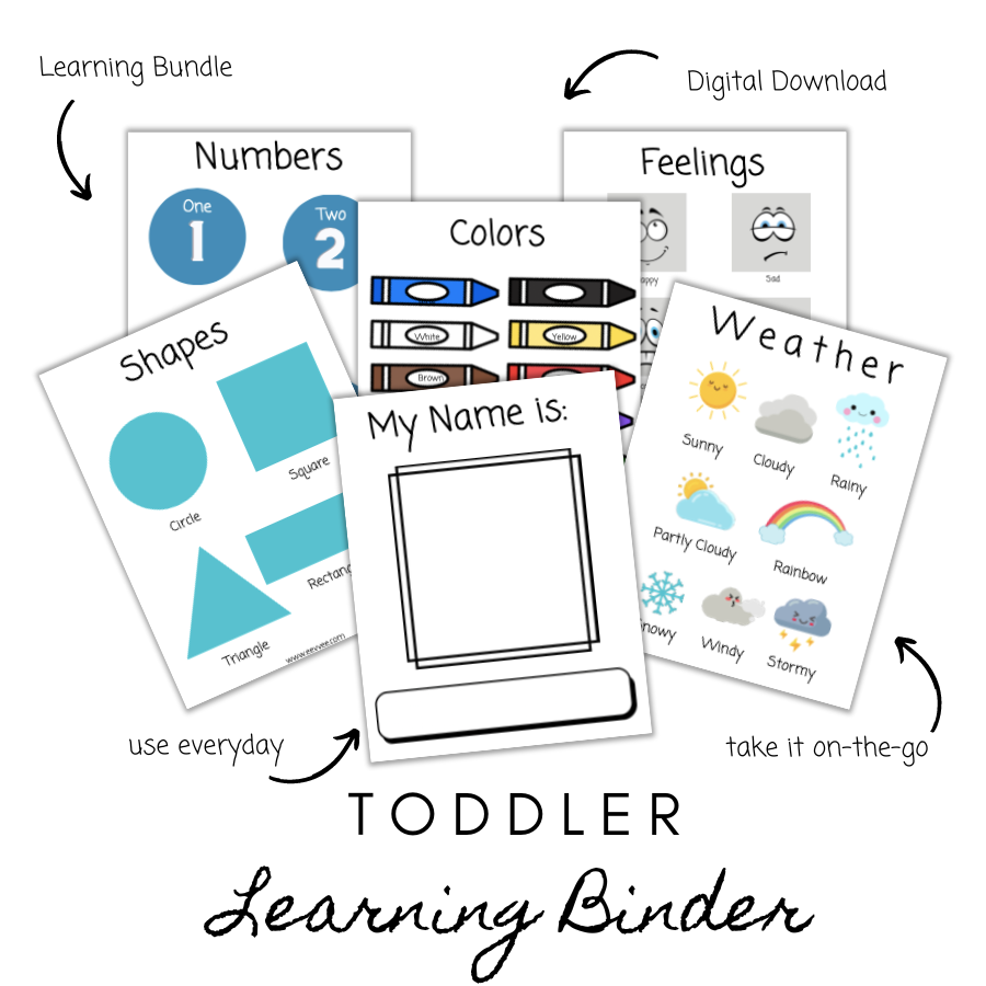 Learning Bundle Eevvee